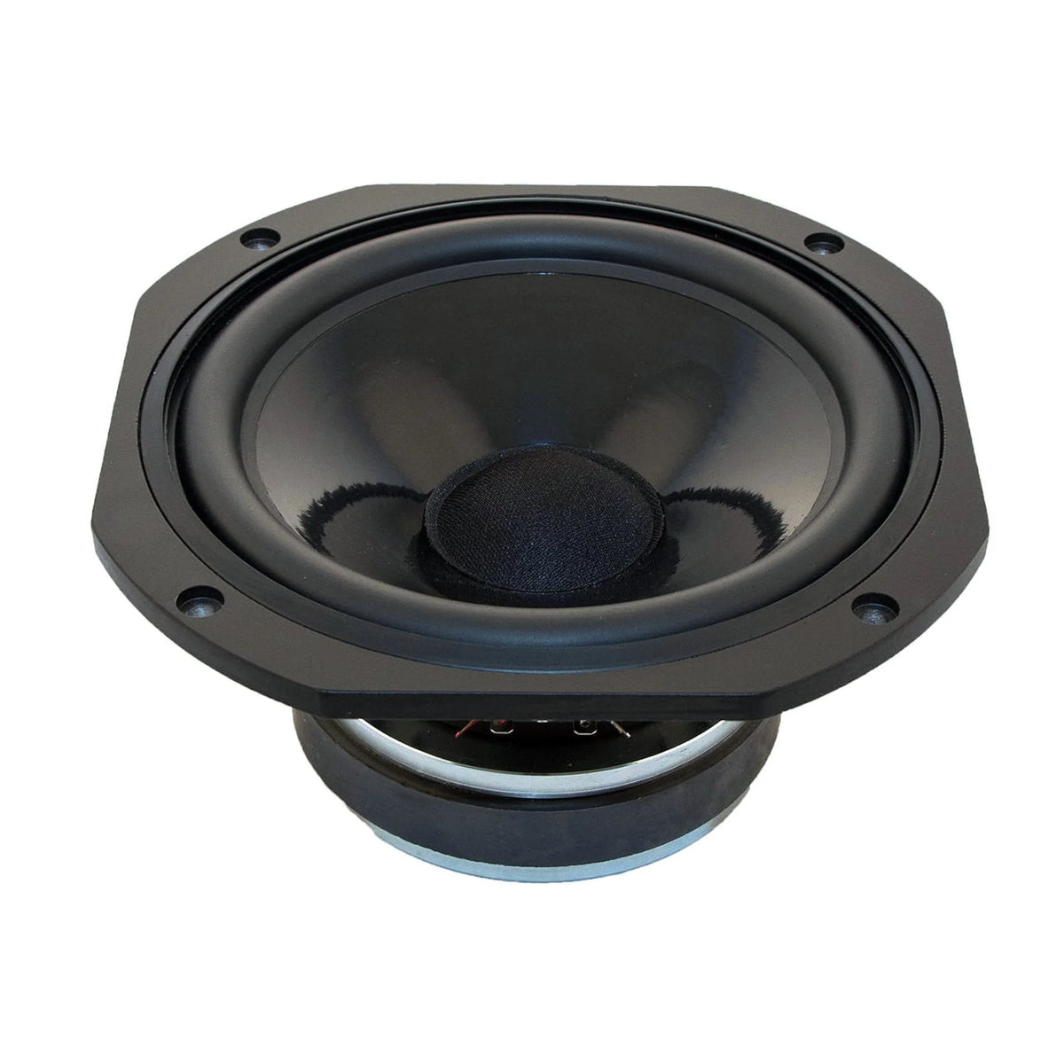 Volt BM228.8 8inch MidWoofer The Audio Co.