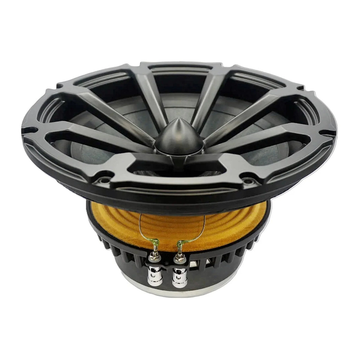 Volt RV2501 10inch Woofer The Audio Co.